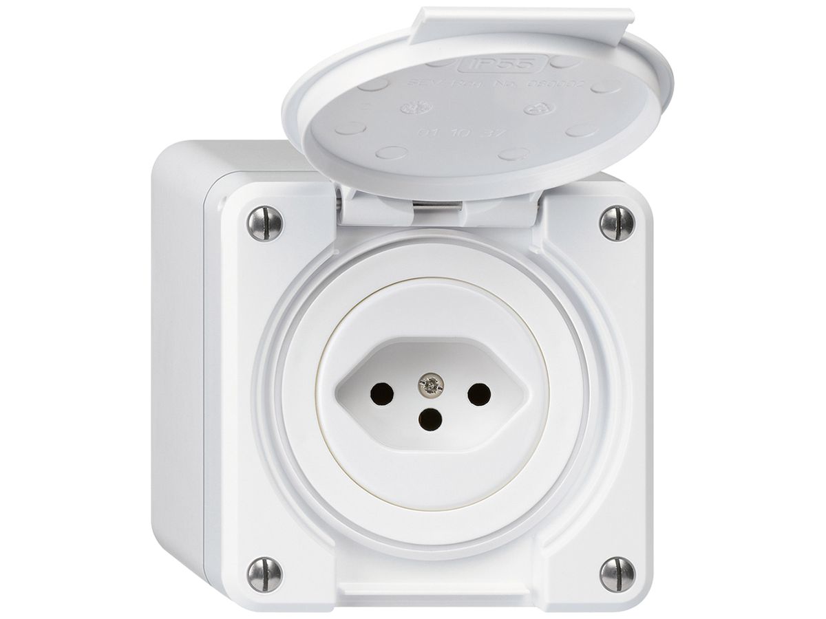 AP-Steckdose robusto Typ 13 weiss - Elektrogrosshandel