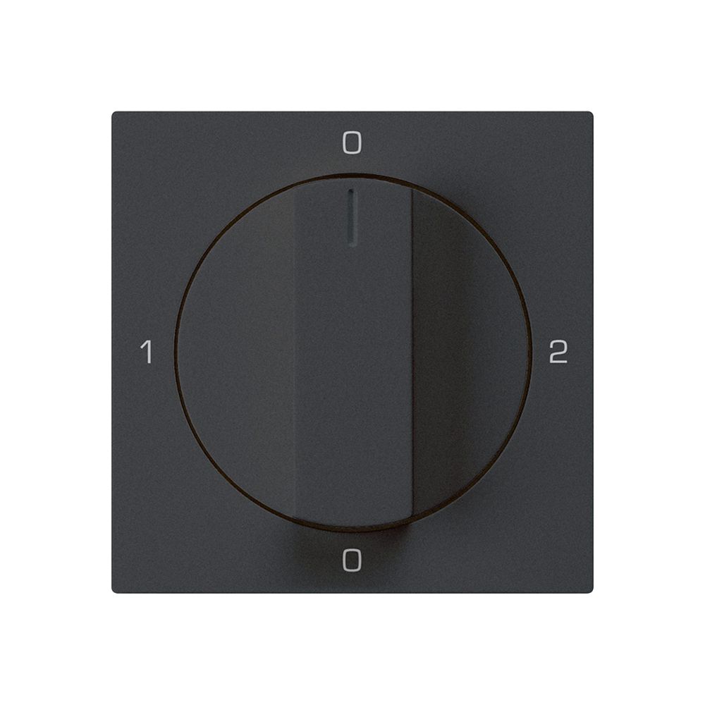 Einsatz zu Drehschalter kallysto 2/1L schwarz mit Drehgriff ...